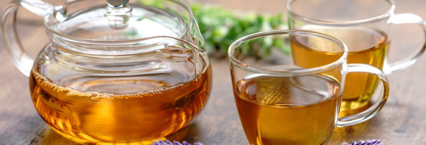 Les bienfaits de la tisane, la boisson qui vous veut du bien